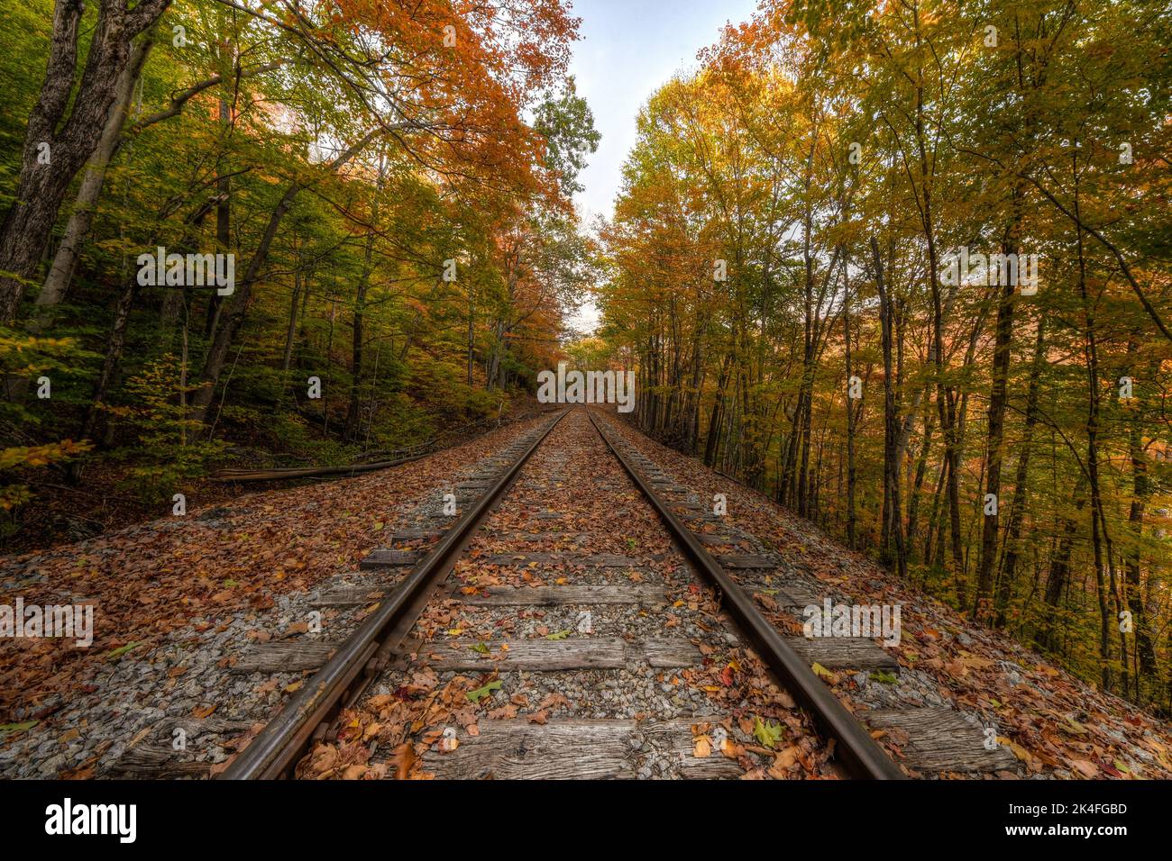 fall foliage railroad tracks in New England Stock Photo - Alamy
