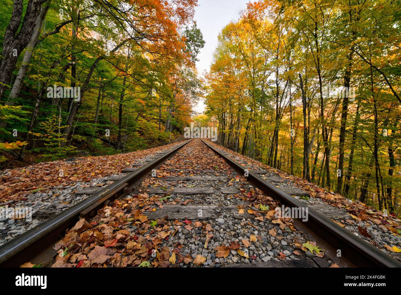 fall foliage railroad tracks in New England Stock Photo - Alamy