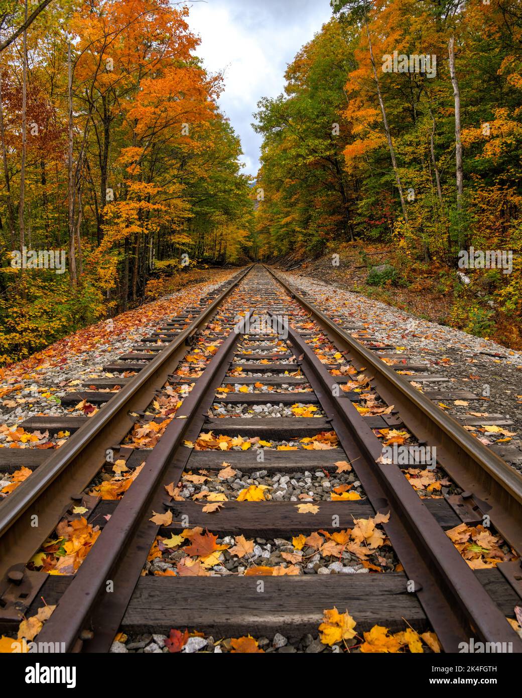 fall foliage railroad tracks in New England Stock Photo - Alamy