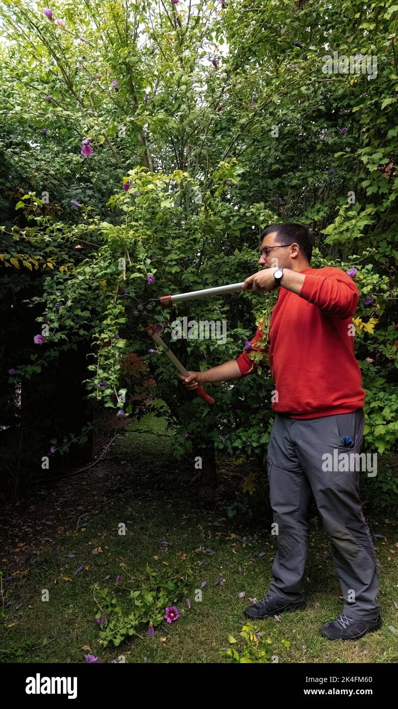 Hand cutting tree branches hi-res stock photography and images - Alamy