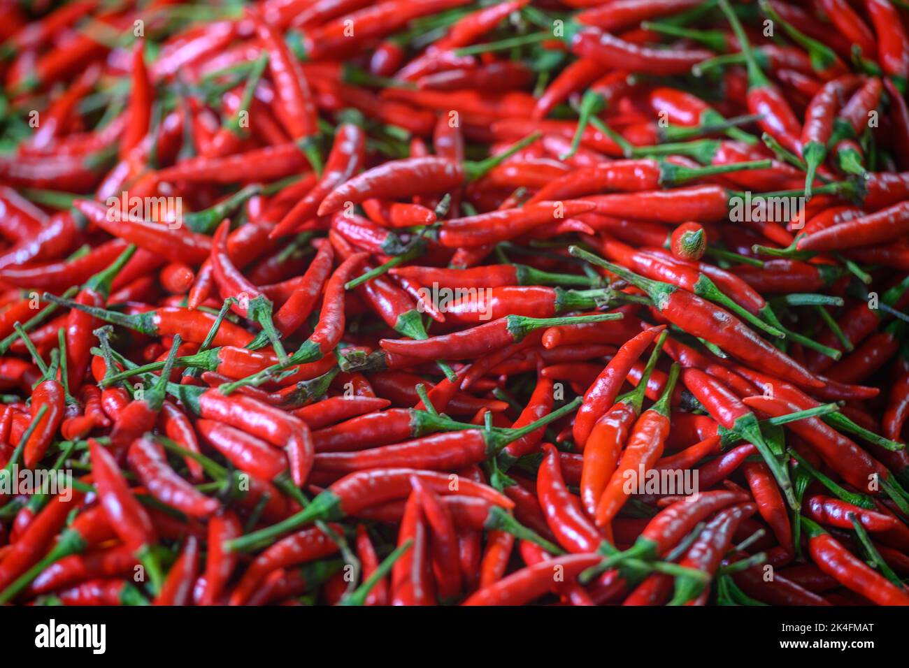 Raw red chillies hi-res stock photography and images - Alamy