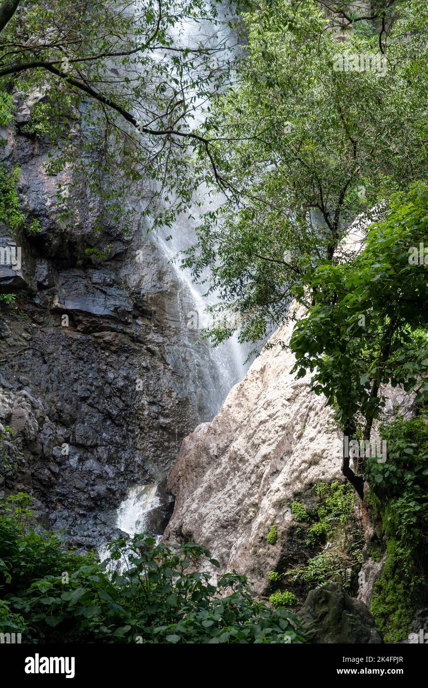 huentitan ravine in guadalajara, full of vegetation water falling ...