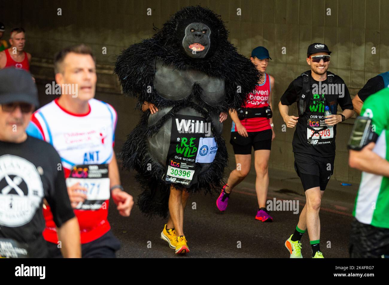 Gorilla marathon hi-res stock photography and images - Alamy