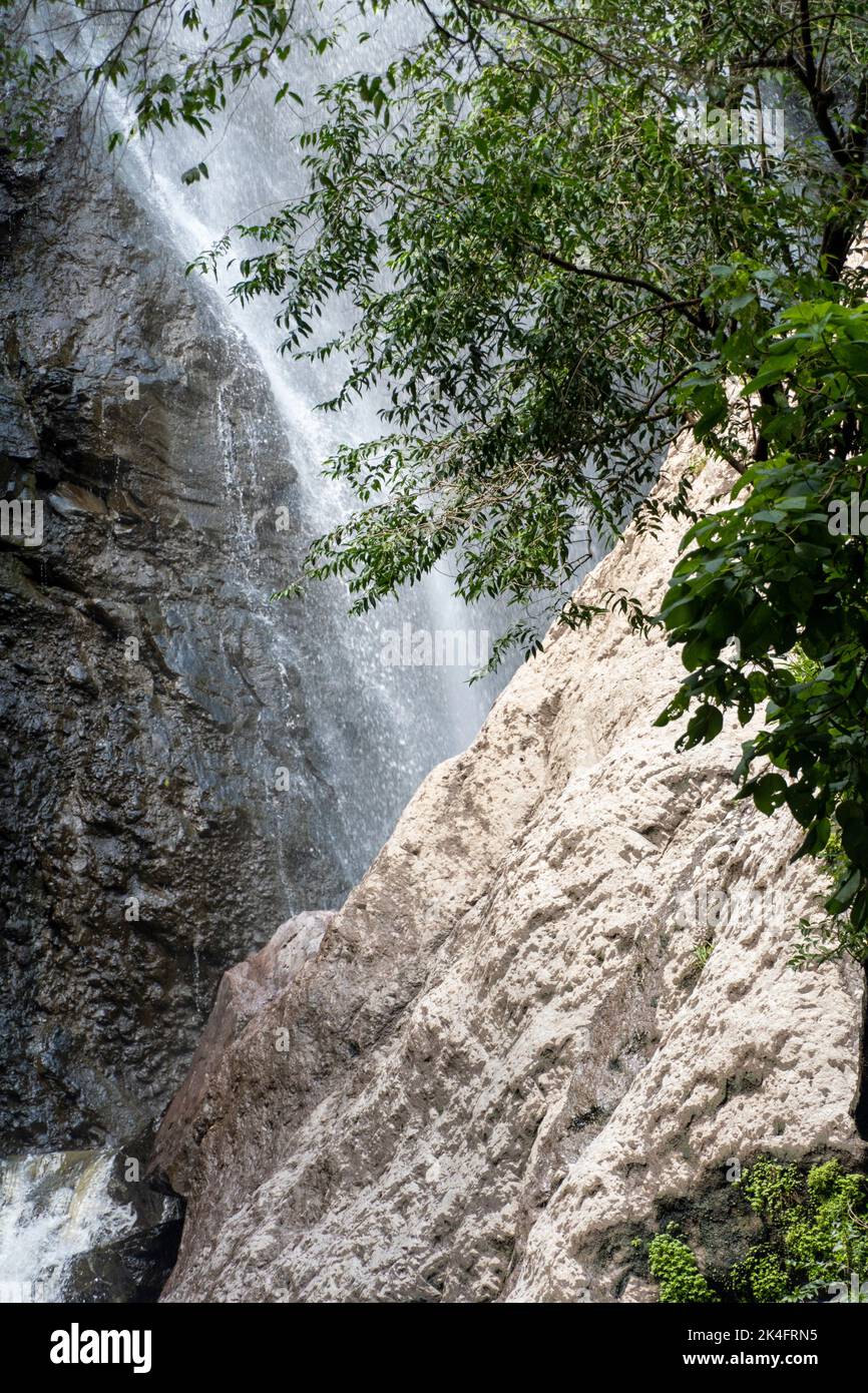 huentitan ravine in guadalajara, full of vegetation water falling ...