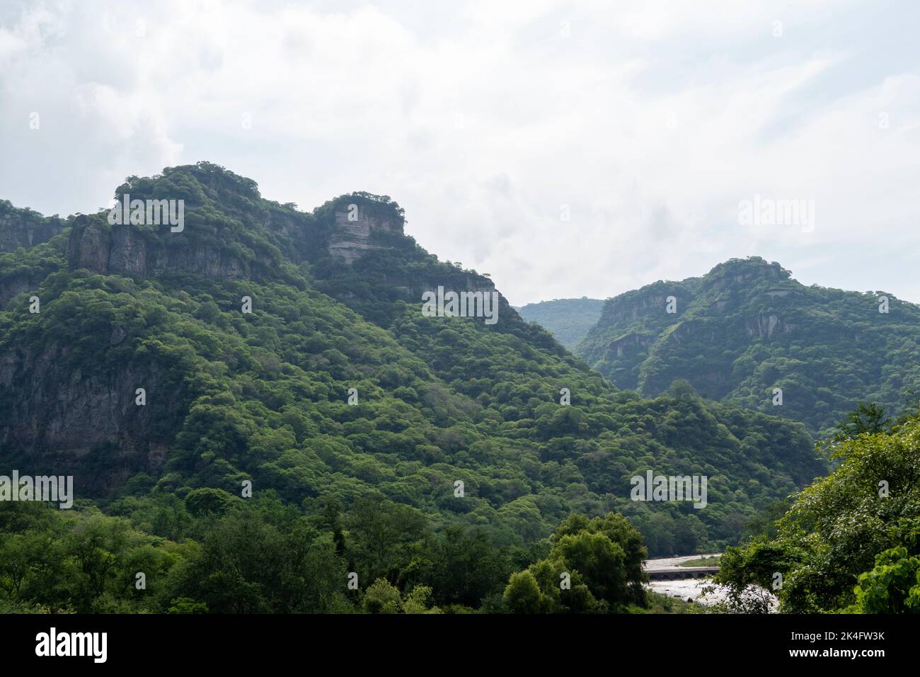 dirty river seen through the huentitan ravine in guadalajara, green ...