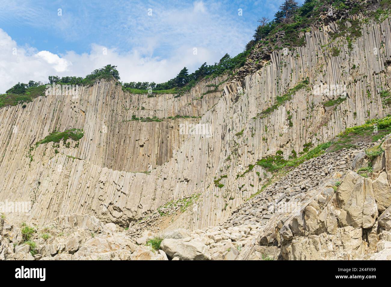 high coastal cliff formed by solidified lava stone columns, Cape ...