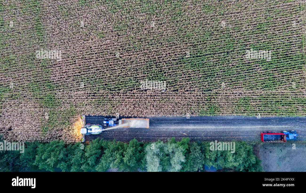 Aerial flight over ripe wheat hi-res stock photography and images - Alamy
