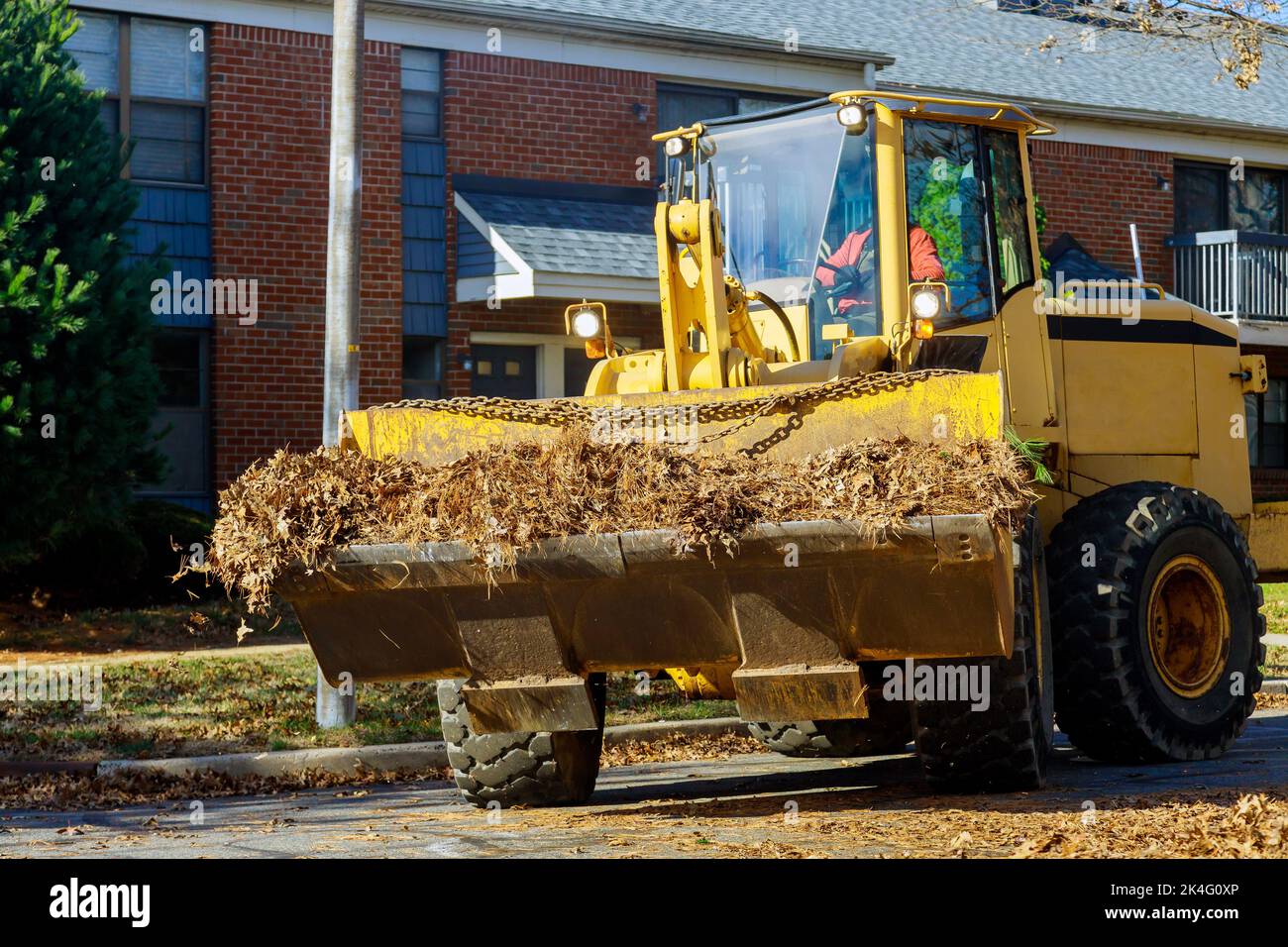 During autumn, workers from municipalities over the entire city clean ...