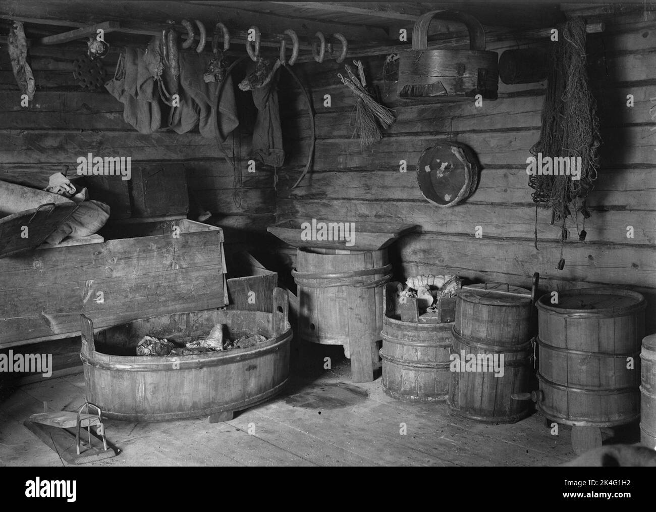 Dried rat Black and White Stock Photos & Images - Alamy