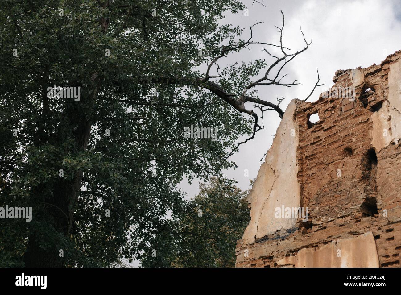Destroyed tree building construction hi-res stock photography and ...