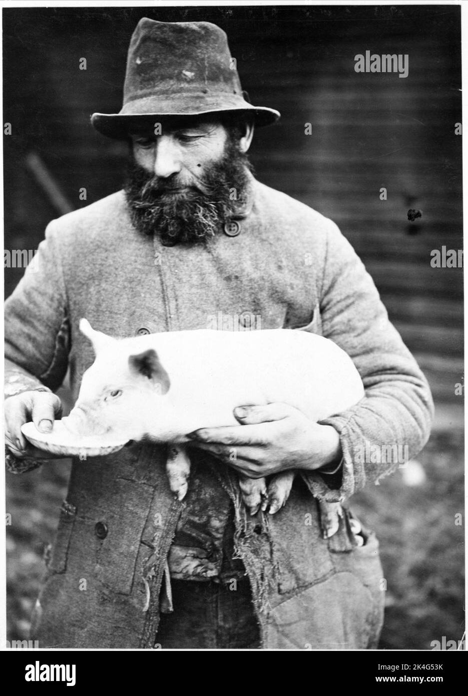 Pet care culture Black and White Stock Photos & Images - Alamy