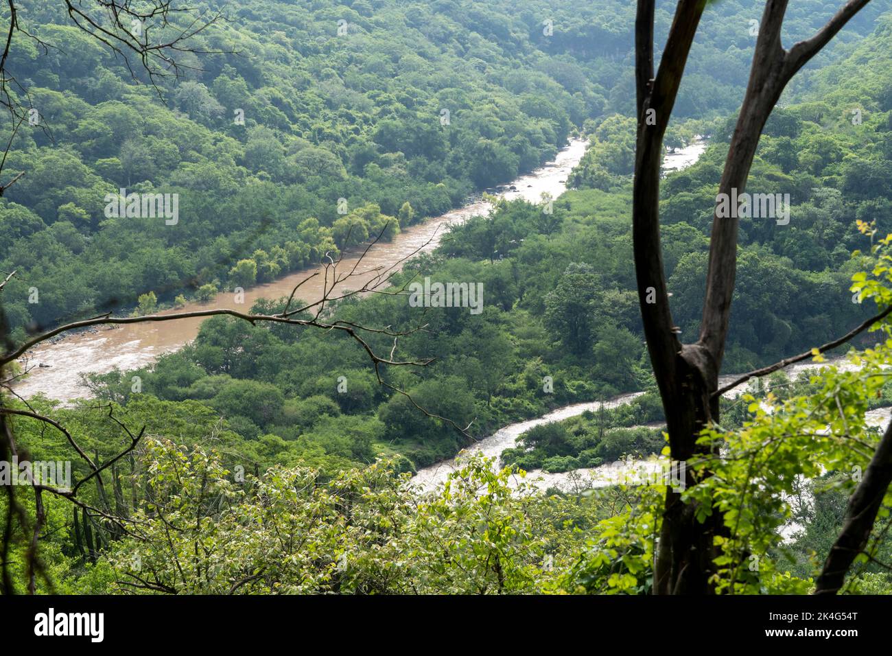dirty river seen through the huentitan ravine in guadalajara, green ...