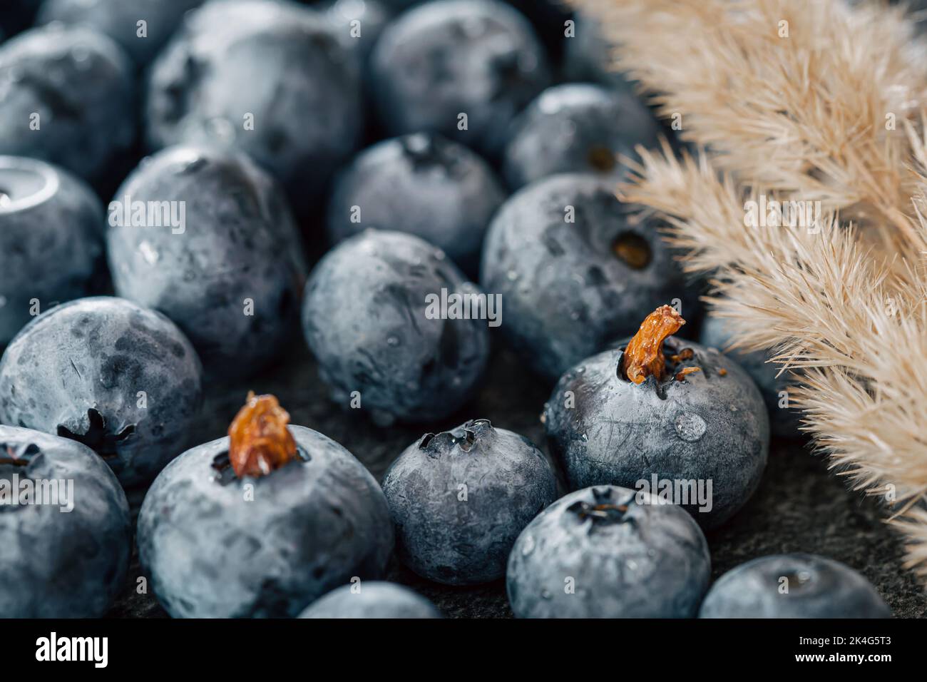 Wet ripe blueberries close up, macro shot Stock Photo - Alamy