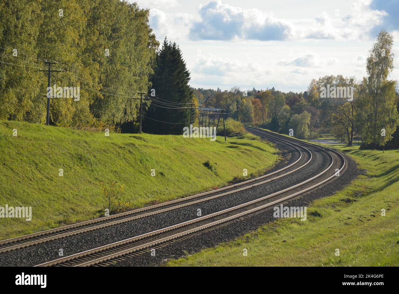 Double train tracks curving to the left in a forest painted in golden ...