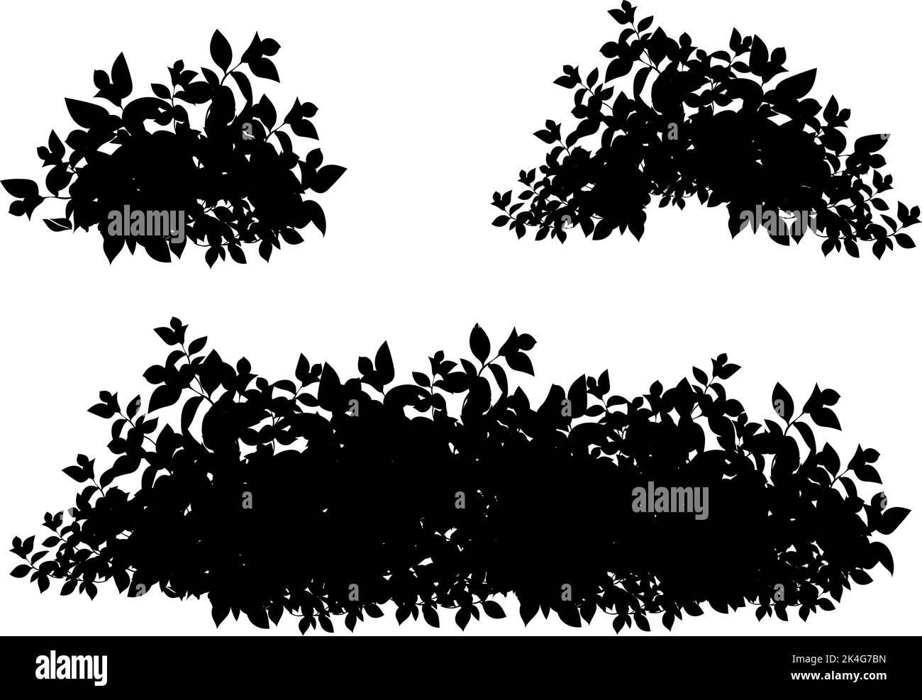 .Realistic garden shrub, seasonal bush, boxwood, tree crown bush ...