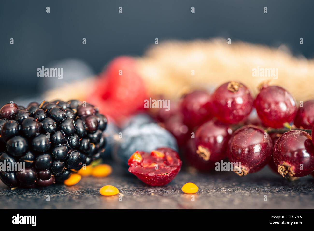 Natural background with different wild berries, macro shot Stock Photo ...