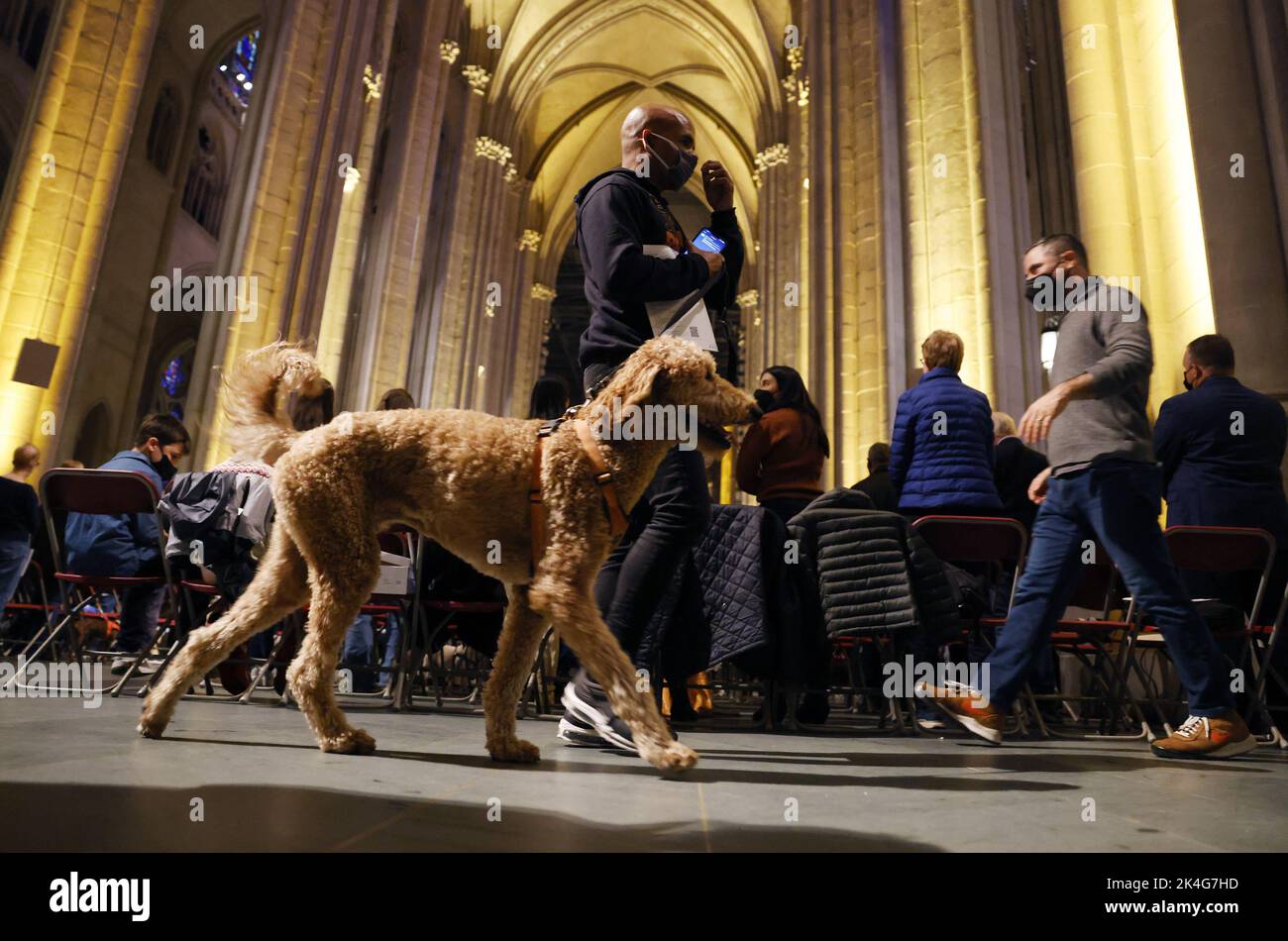 New York City, United States. 02nd Oct, 2022. Pet owners bring their ...