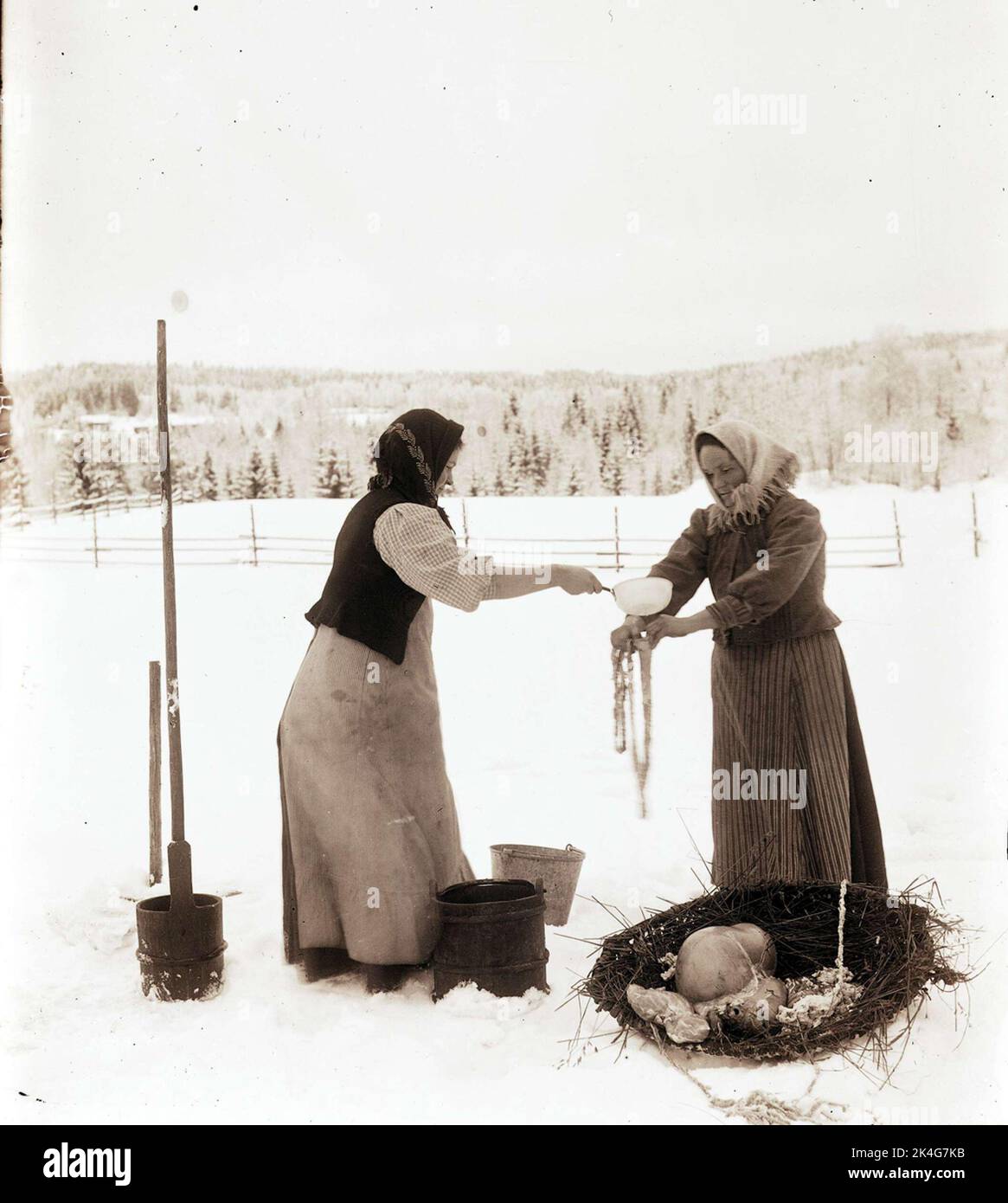 Slaughter. Two women rinse sheep intesters in the winter outdoors ...
