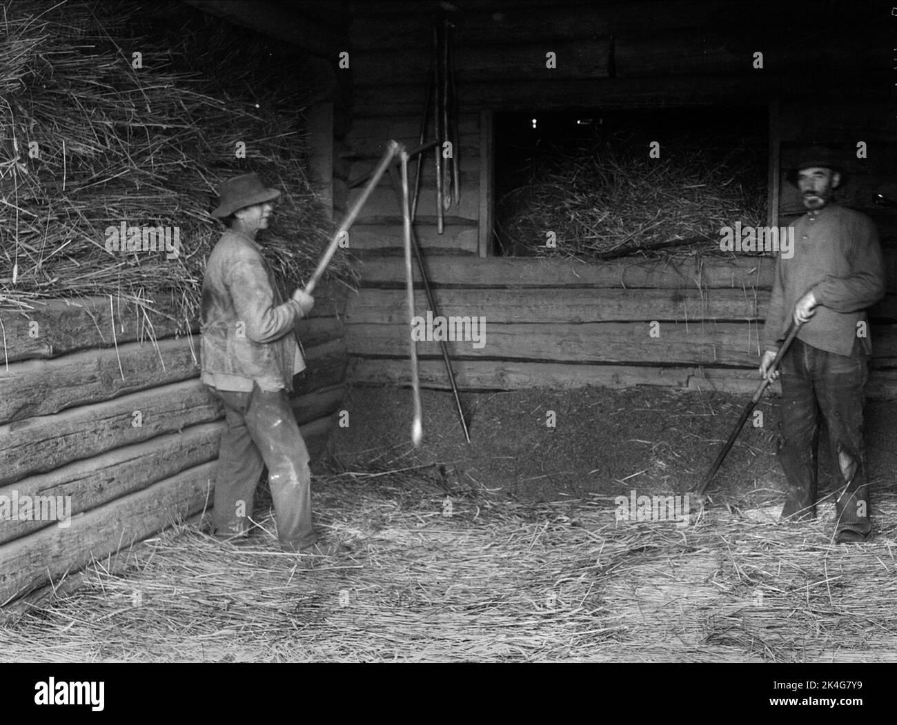 Traditional threshing method hi-res stock photography and images - Alamy