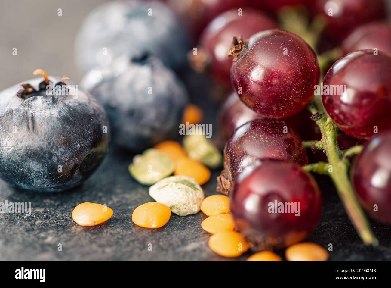 Natural background with different wild berries, macro shot Stock Photo ...