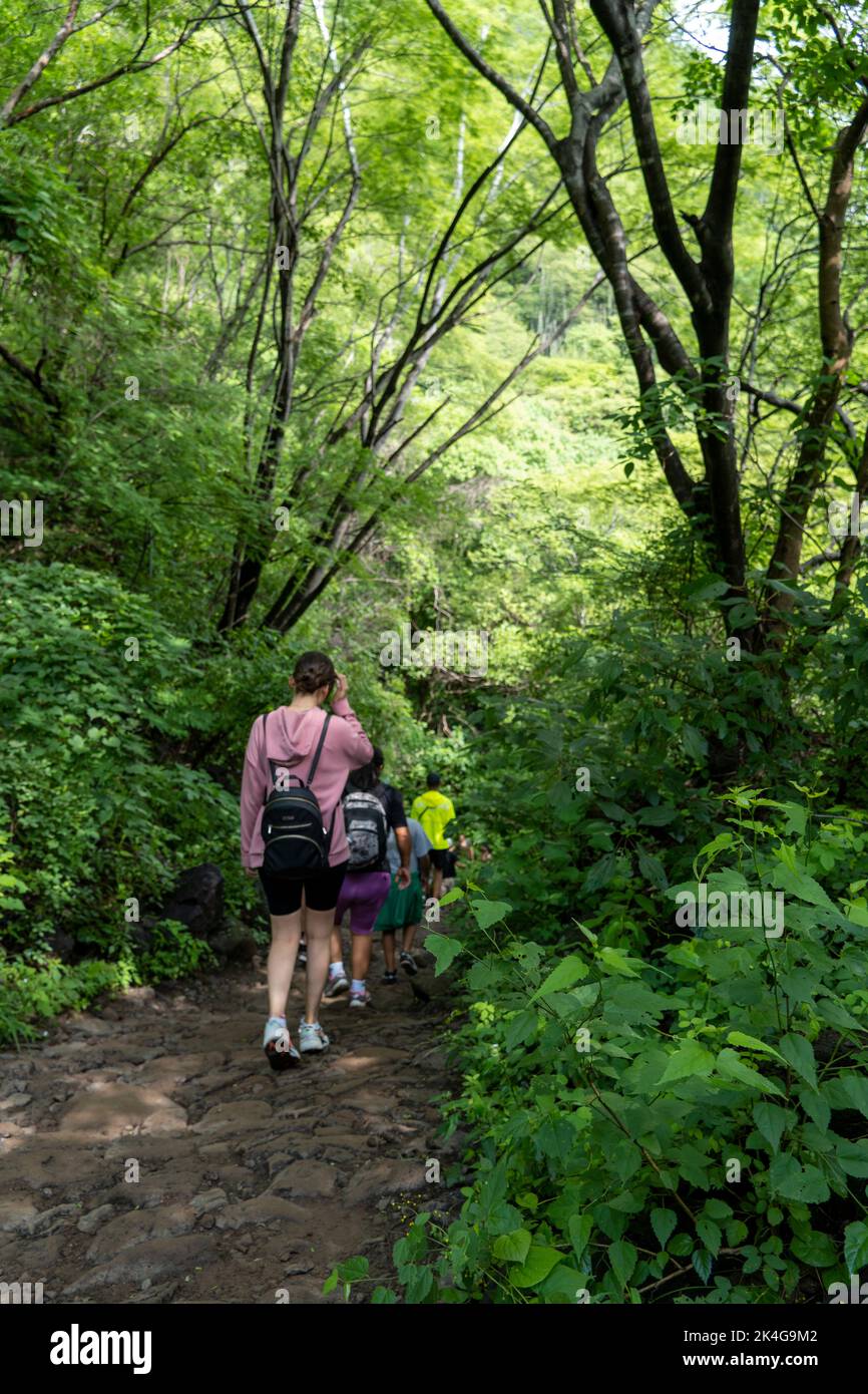 young woman descending in the ravine, vegetation and trees, huentitan ...
