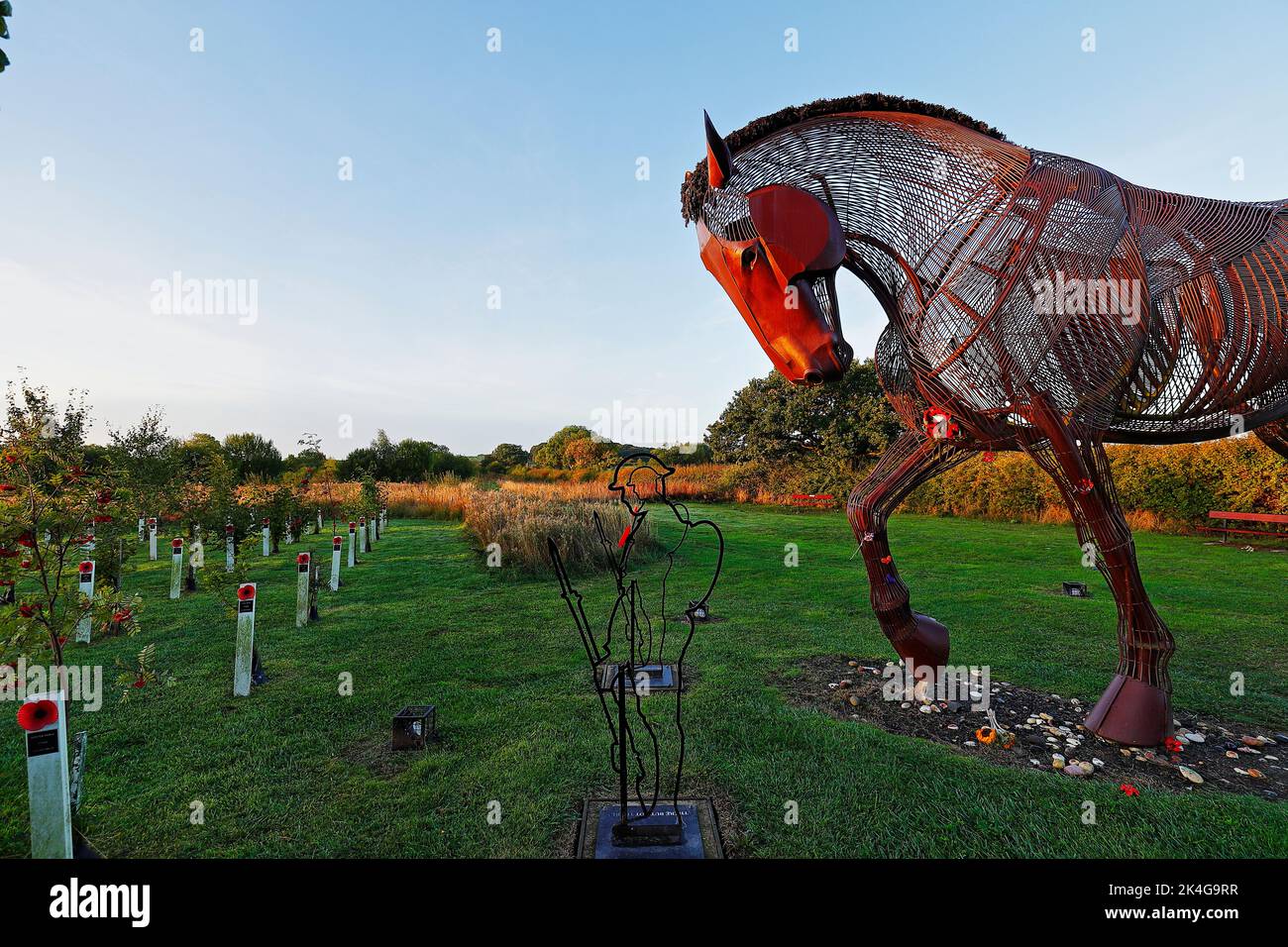 The War Horse sculpture at Mill Pond Meadow woodland memorial in ...