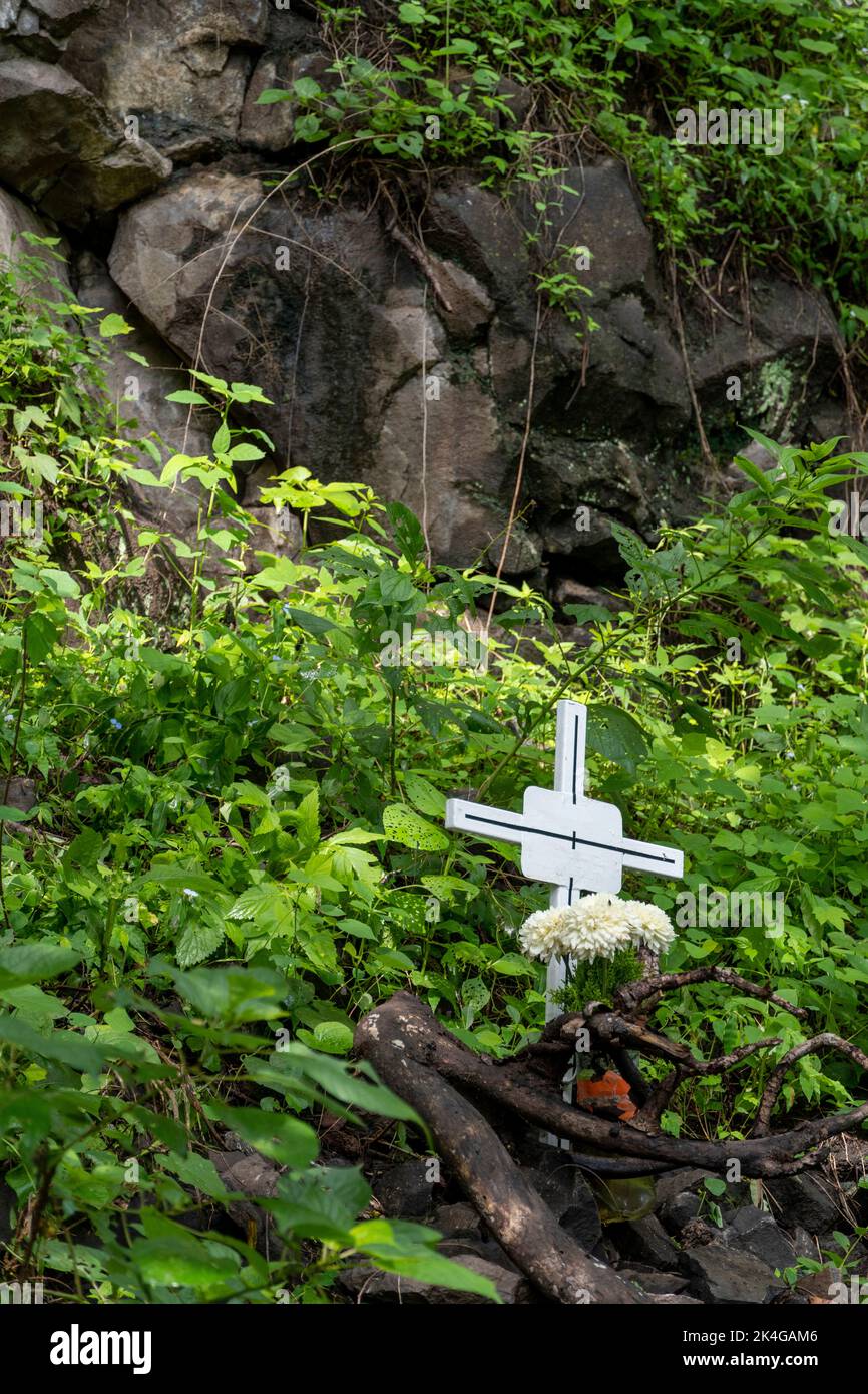 Deceased trees hi-res stock photography and images - Alamy