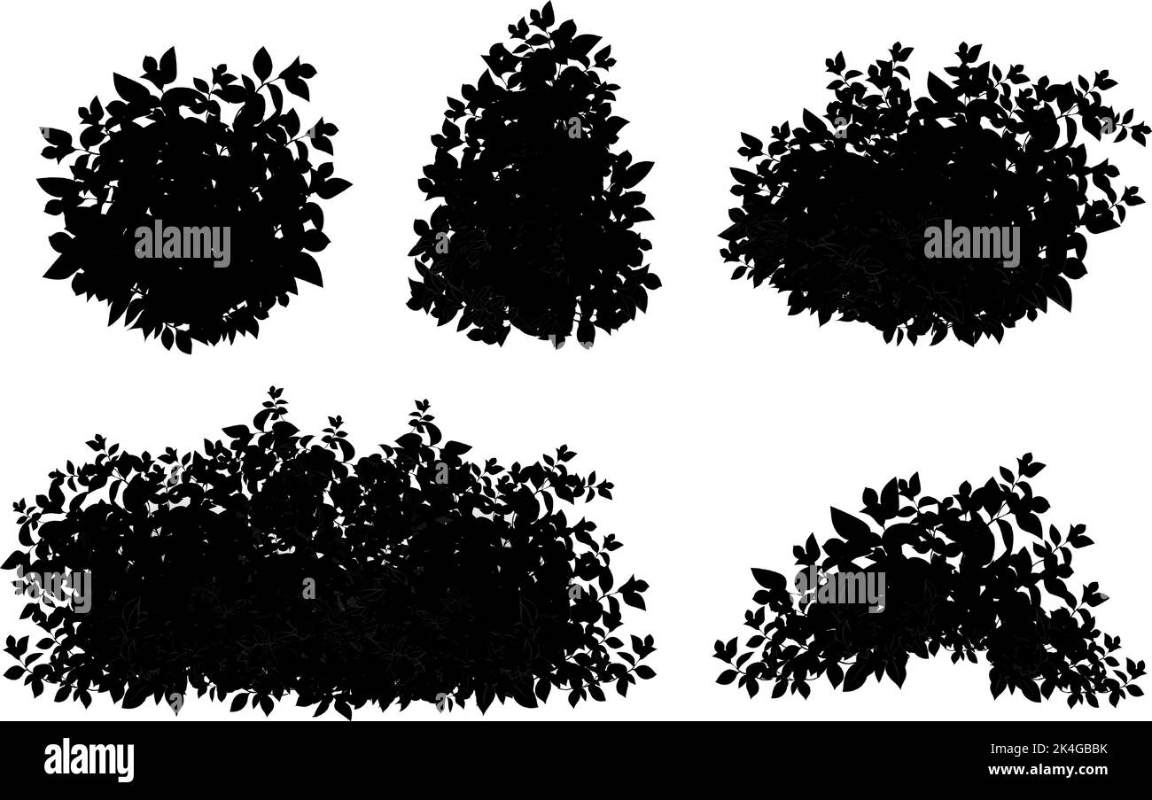 .Realistic garden shrub, seasonal bush, boxwood, tree crown bush ...