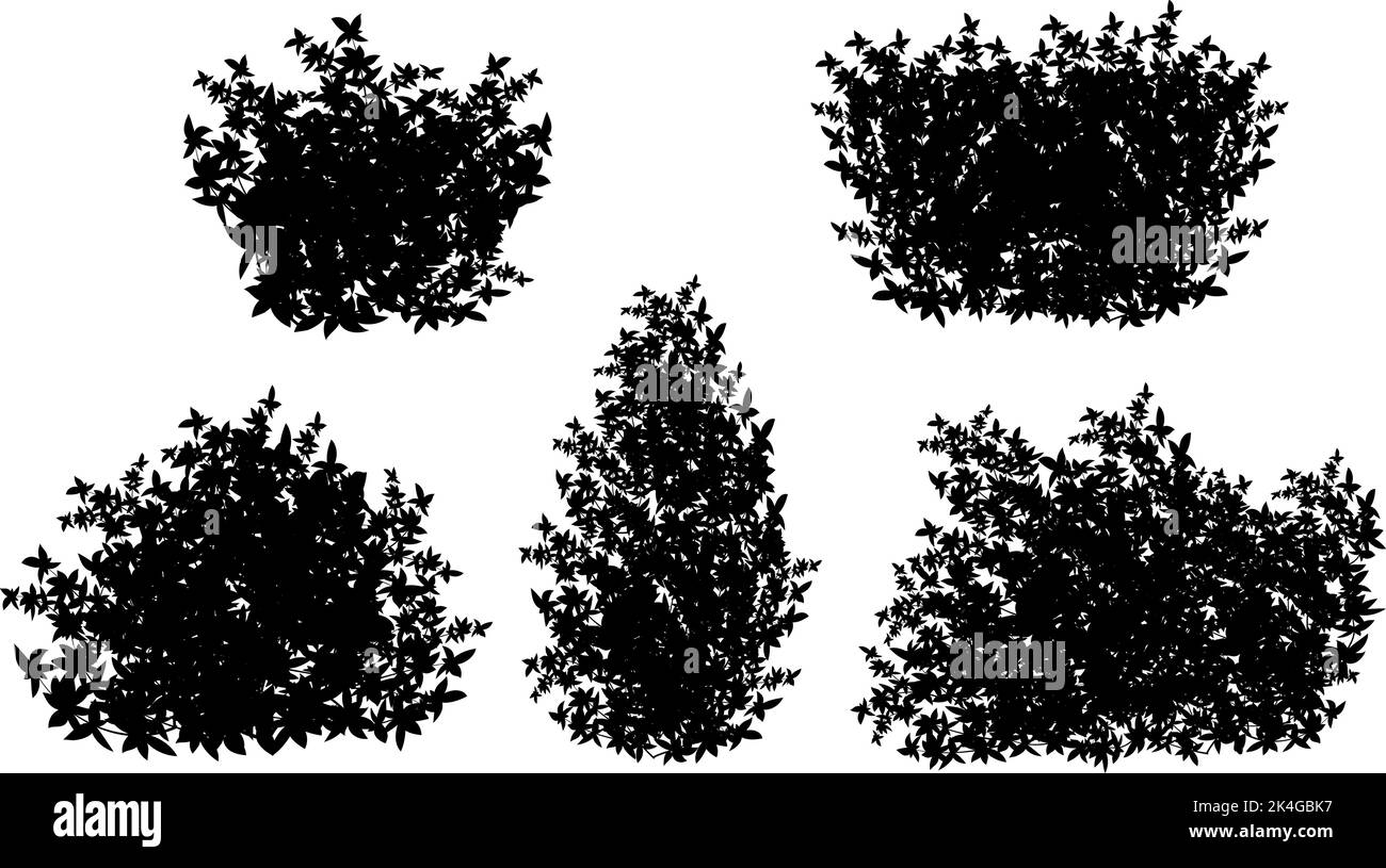 .Realistic garden shrub, seasonal bush, boxwood, tree crown bush ...