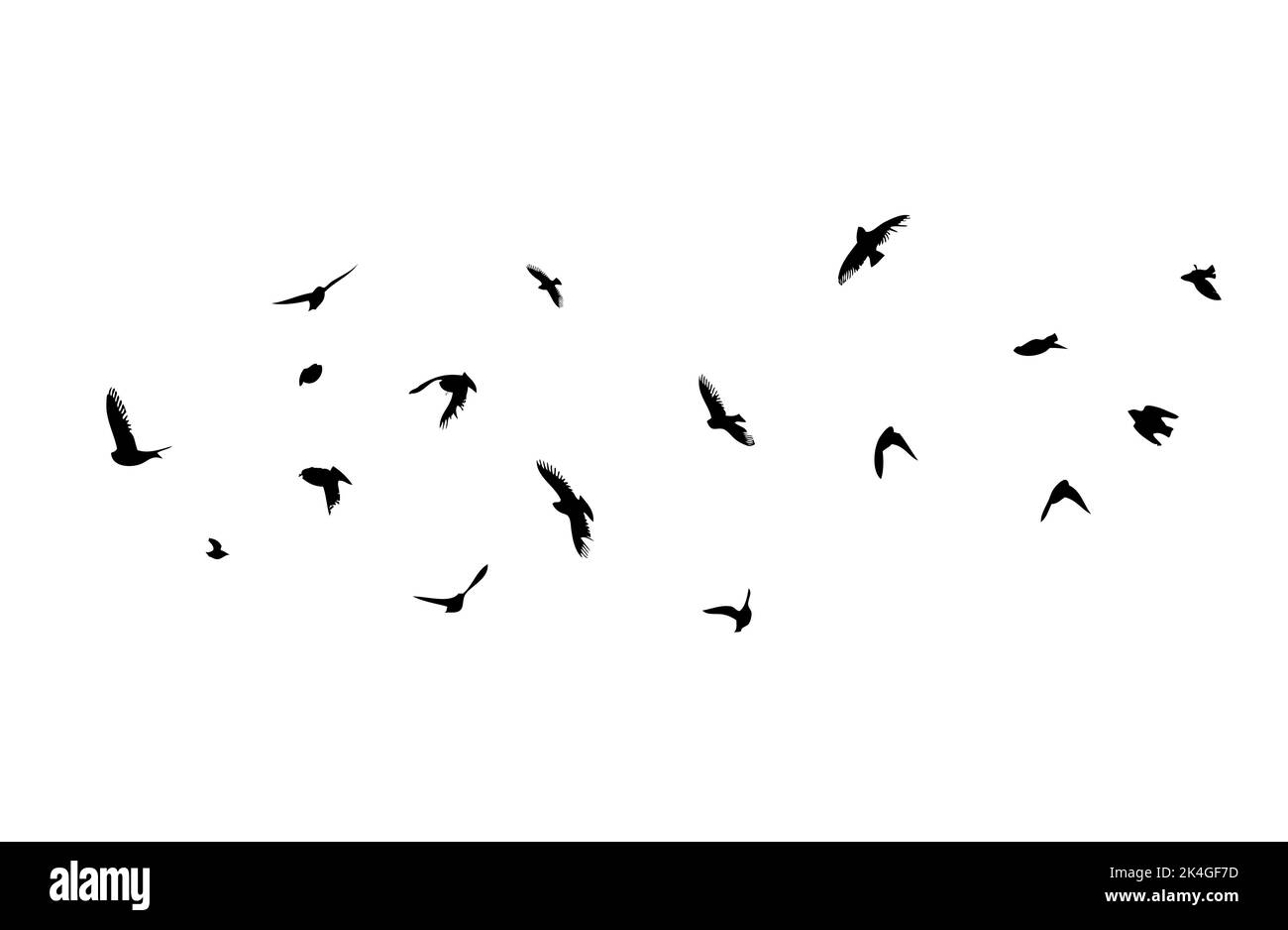 A flock of flying birds. Free birds. Vector illustration Stock Vector ...