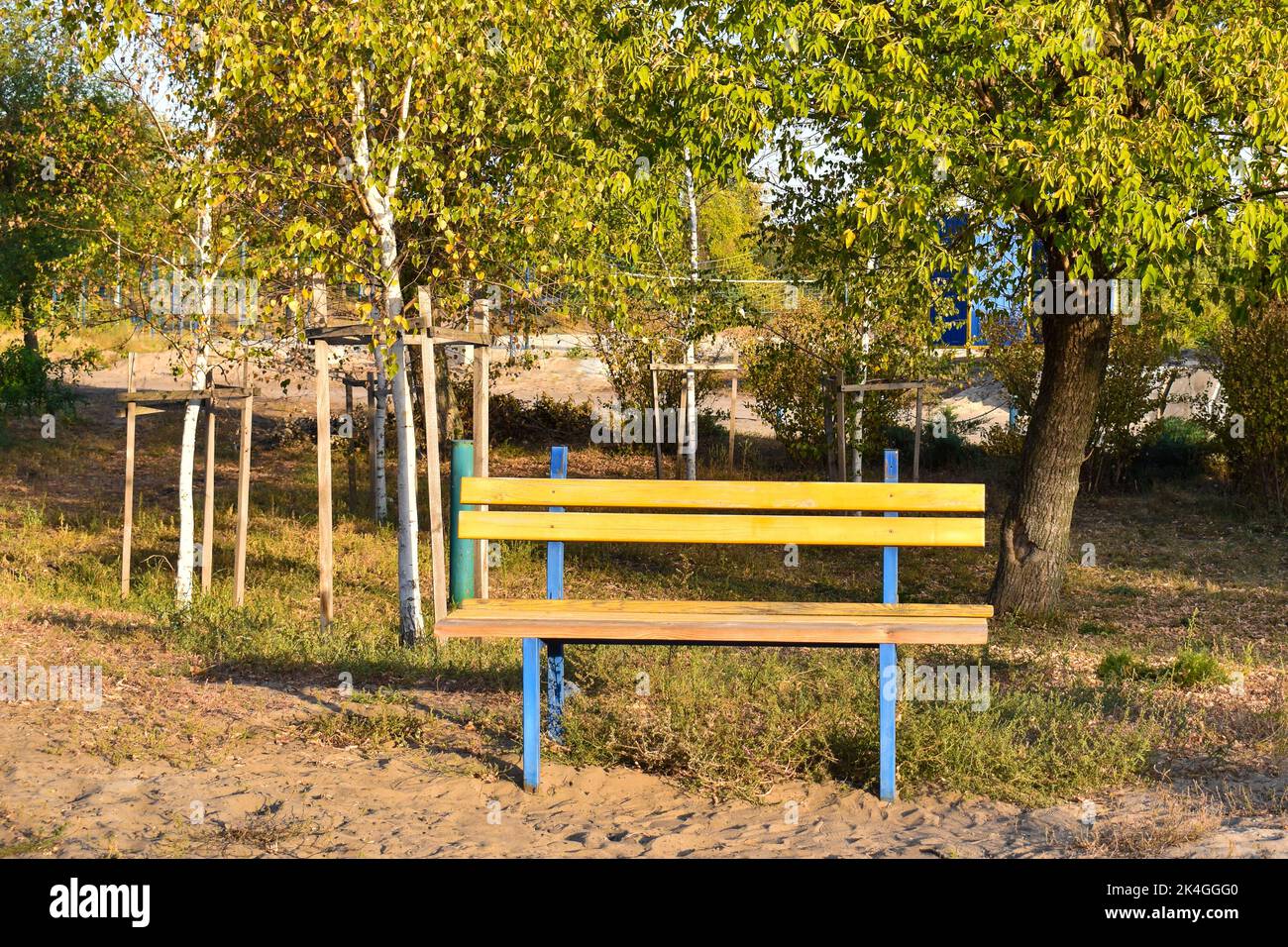 One single bench chair seat in park under tree in autumn with yellow ...