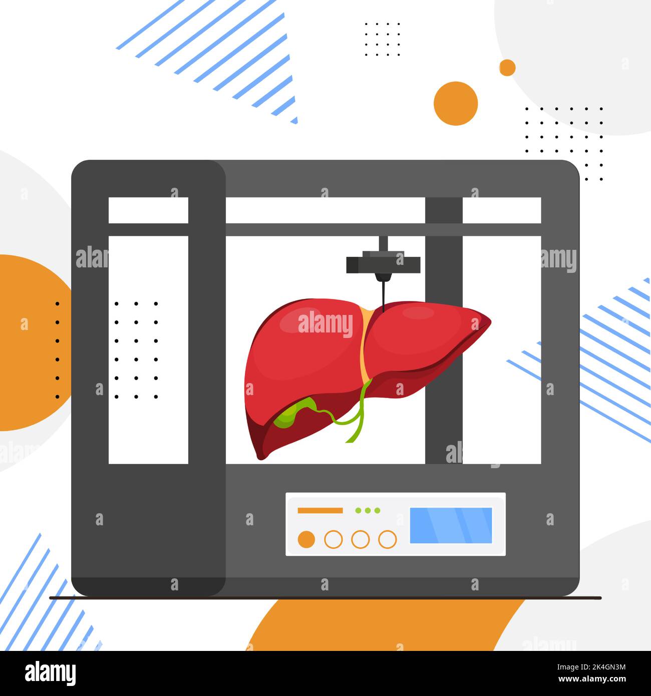 liver model prints on 3d bio printer medical printing of human ...
