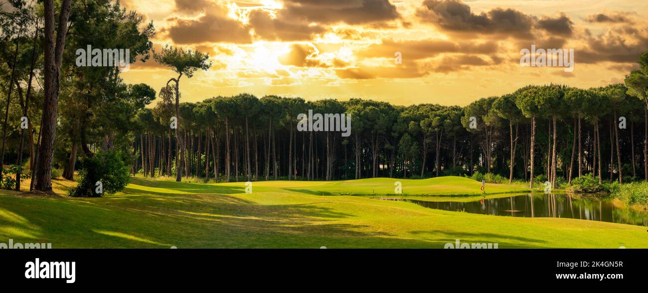 Panoramic view of a beautiful golf course with pine trees and dawn sky ...