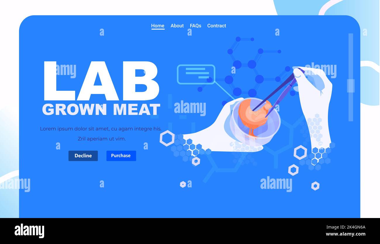 scientist hand analyzing dna of cultured meat made from animal cells ...