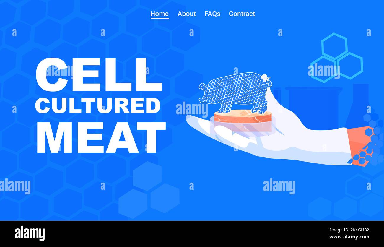 scientist hands analyzing dna of cultured red raw meat made from animal ...