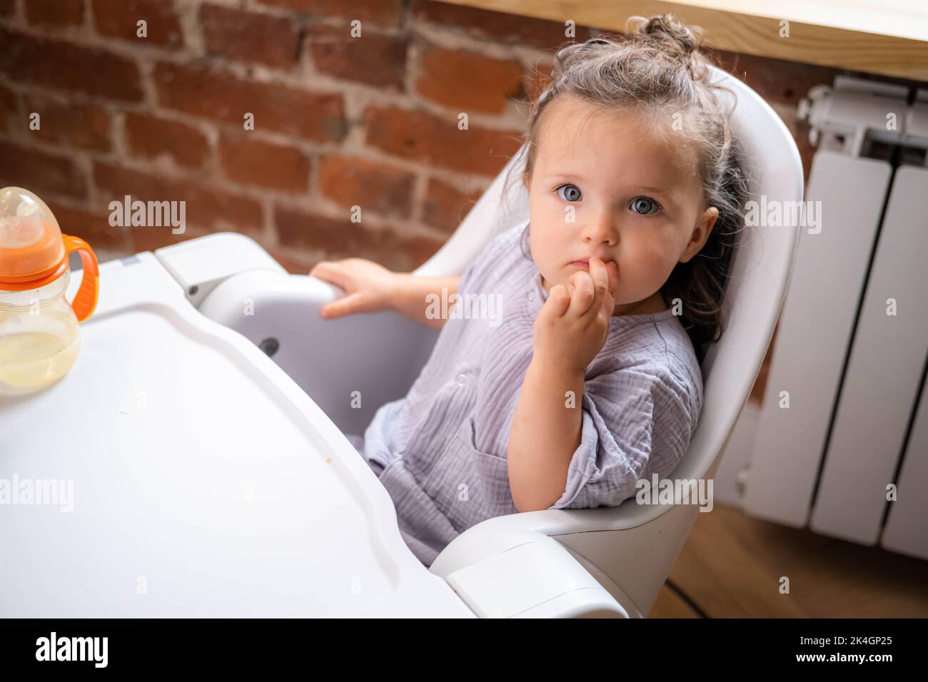 portrait caucasian baby girl about 2 years old in bib eating pasta from plate sitting high chair ...
