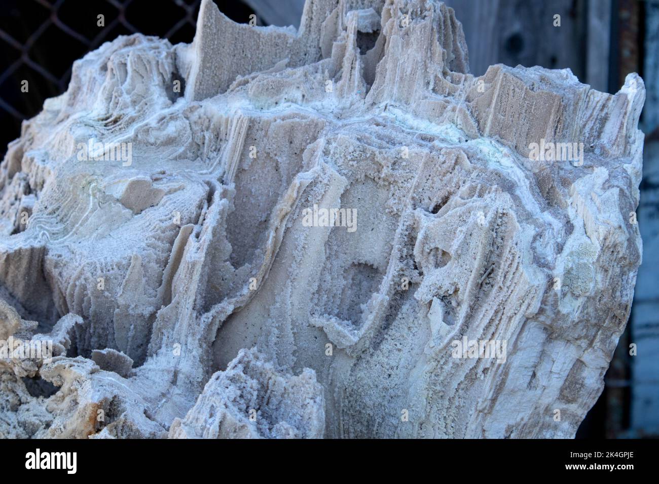 Ancient old petrified wood, excavation, minerals, as nice background ...