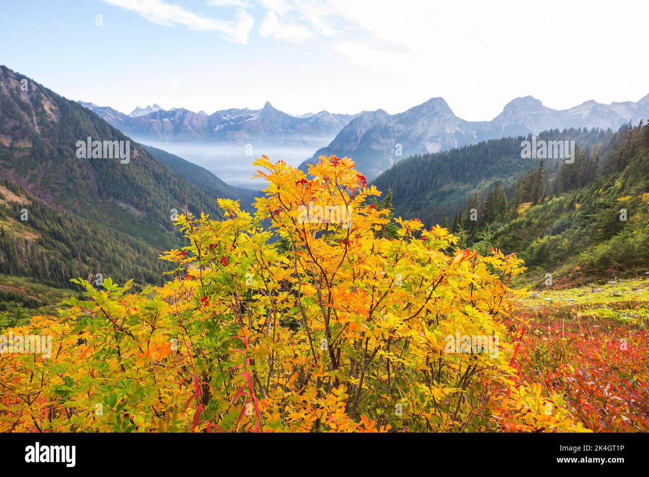 Colorful Autumn season in mountains, Washington state, USA Stock Photo ...