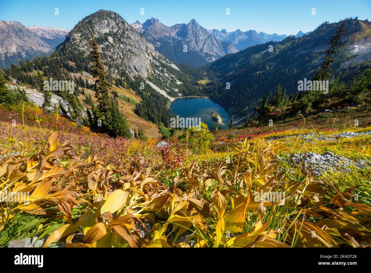 Colorful Autumn season in mountains, Washington state, USA Stock Photo ...