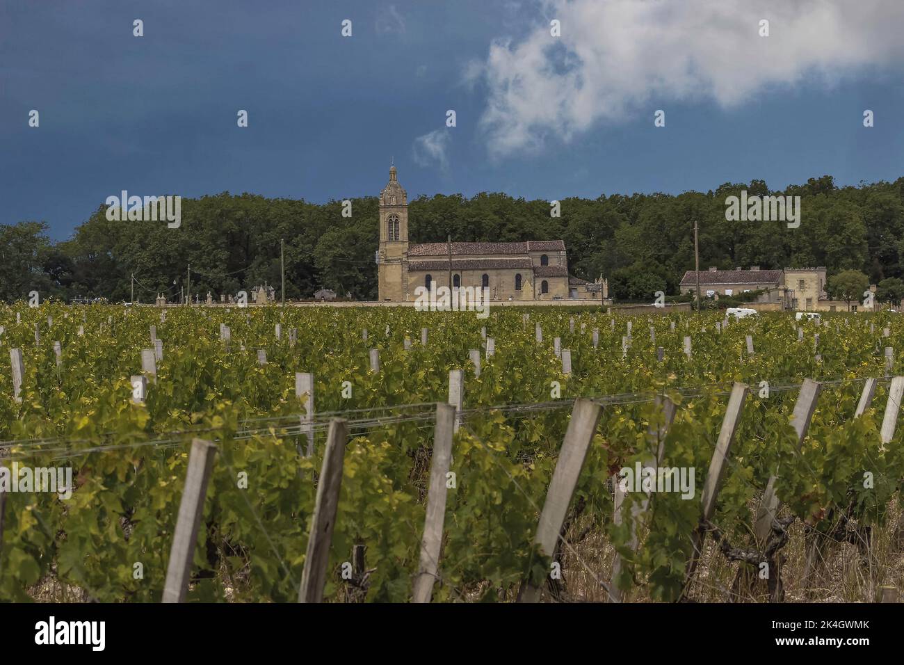 Church in the vineyards of the haute medoc behind rows of vines on ...