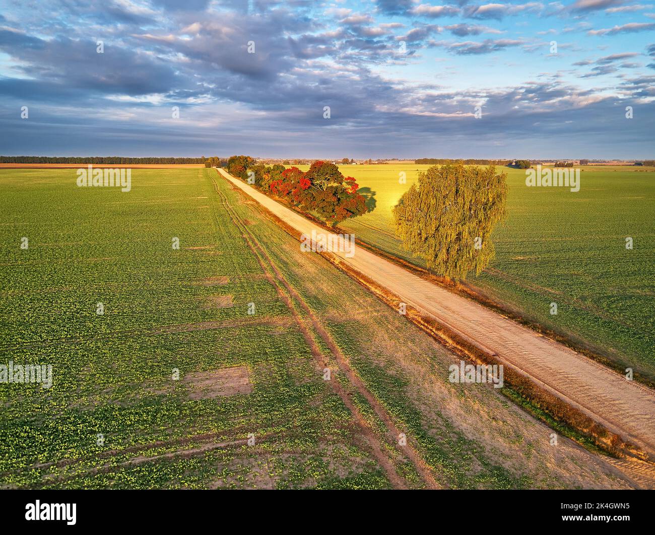 Fall colors maple trees, dirt road, agriculture fields. Autumn rural ...