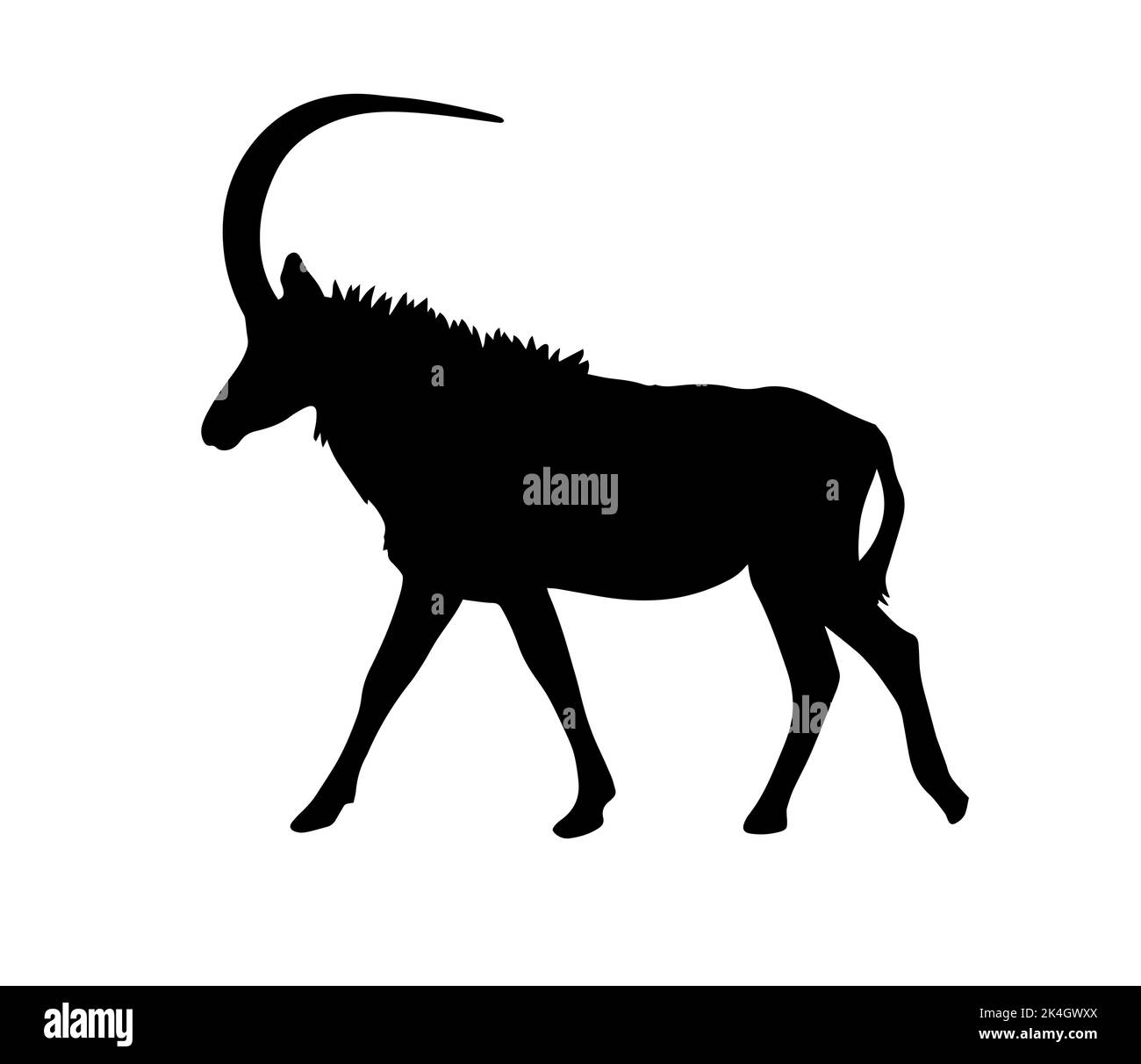 Vector illustration of a black silhouette of a domestic goat. Isolated ...