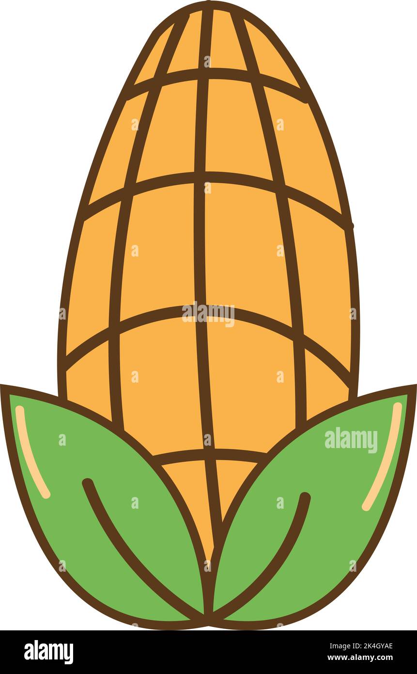 Cooked yellow organic corn Stock Vector Images - Alamy