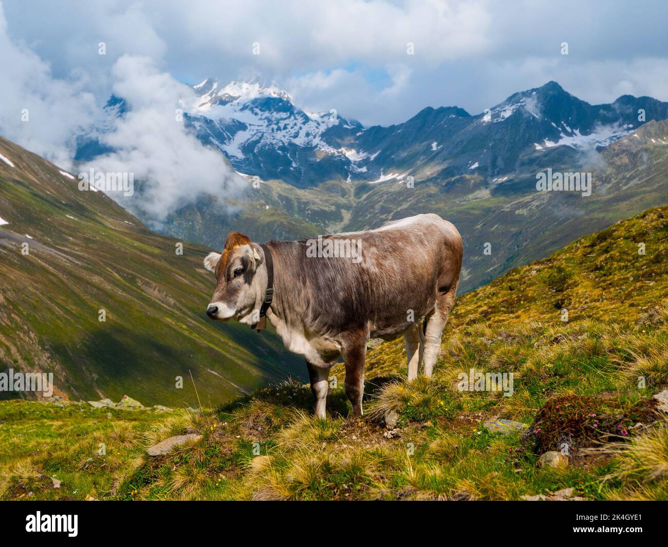 Agriculture alpine hi-res stock photography and images - Alamy
