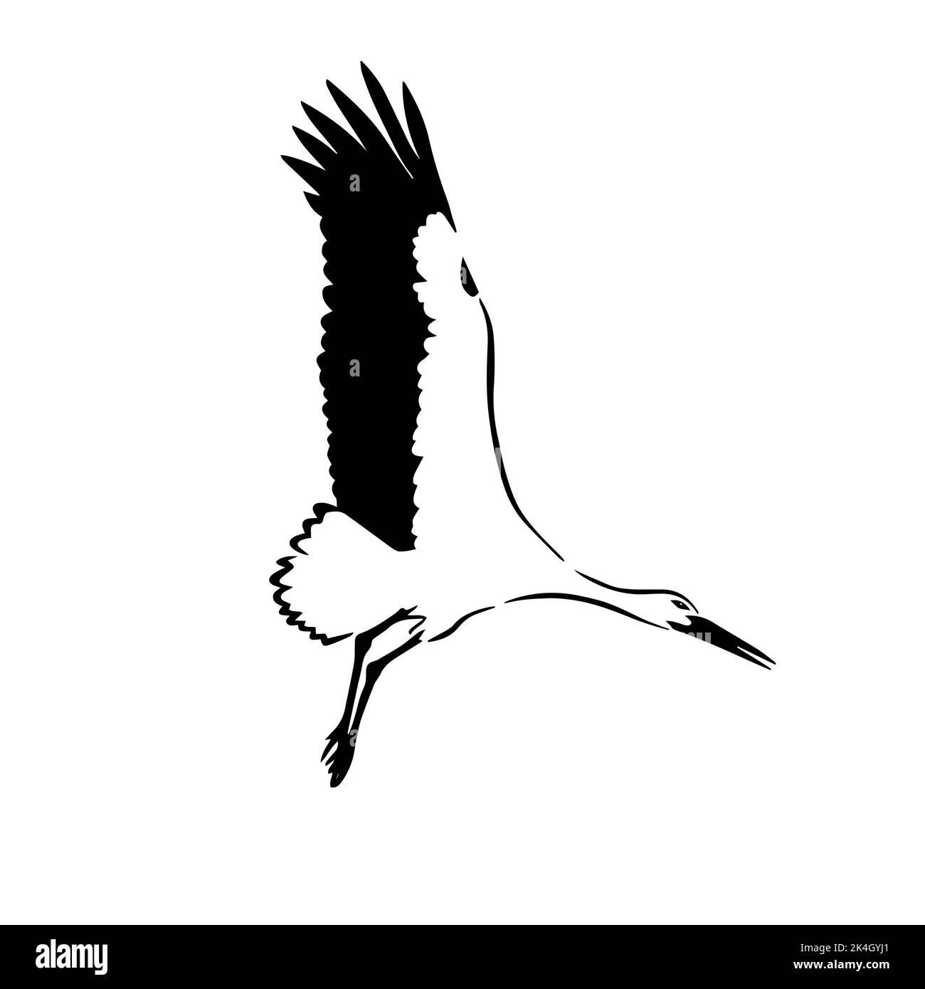 Flying stork object. Vector illustration Stock Vector Image & Art - Alamy