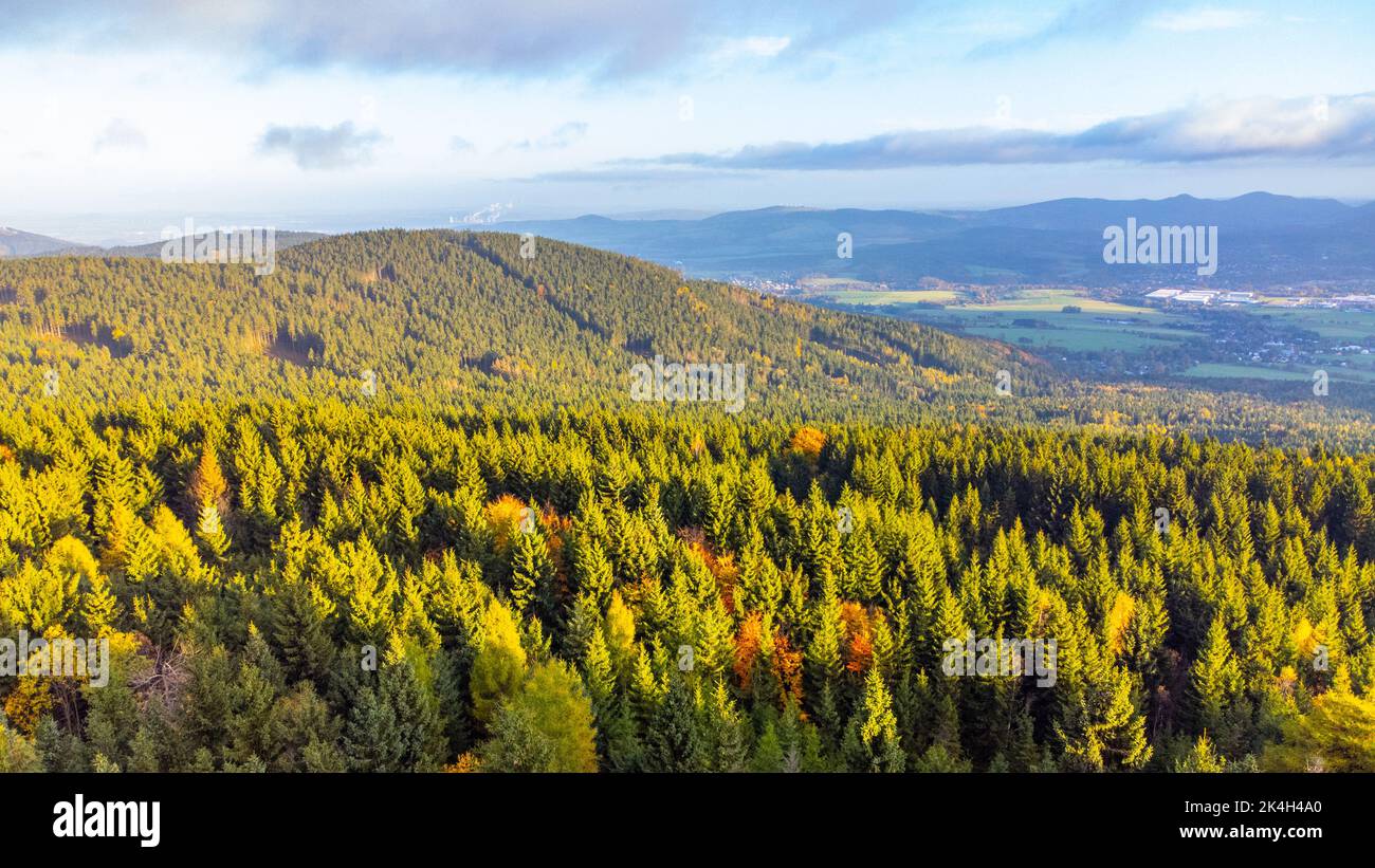 Aerial view beech trees hi-res stock photography and images - Alamy