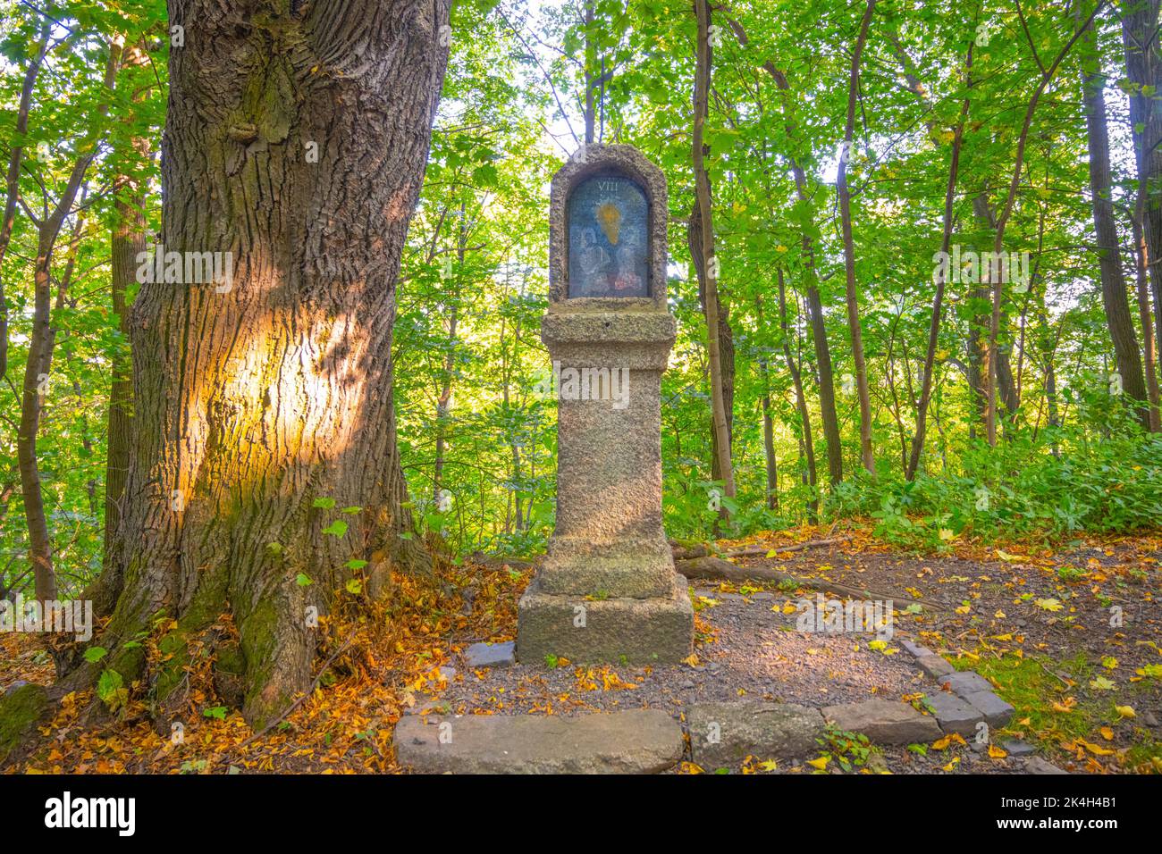 Monument cross jesus forest hi-res stock photography and images - Alamy