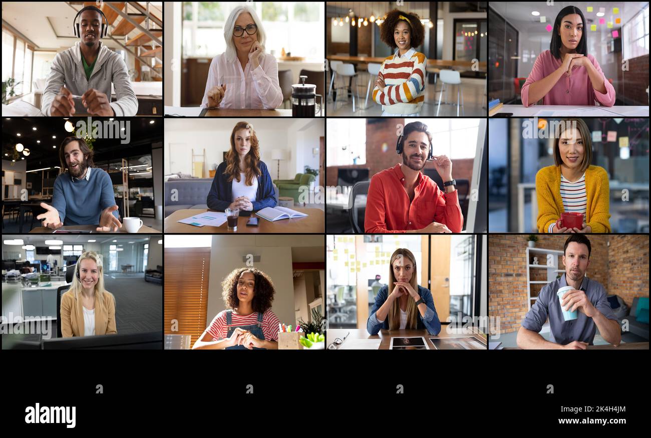 Video call interface with twelve diverse male and female work ...