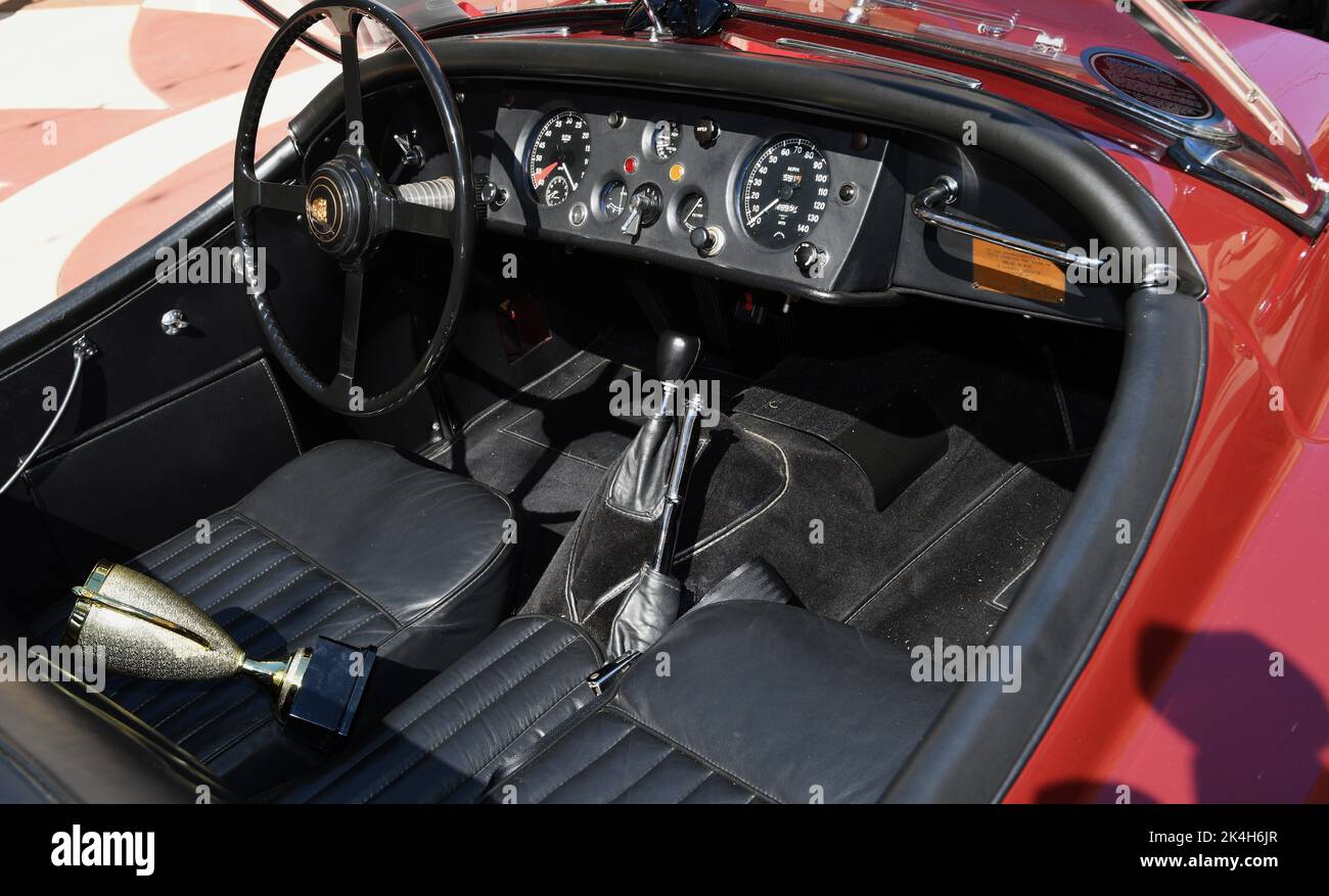 Maroon cat hi-res stock photography and images - Alamy