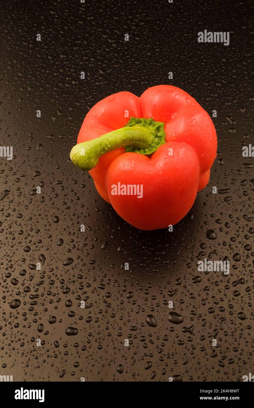 Red Capsicum annuum - Bell Pepper on wet black background with water ...